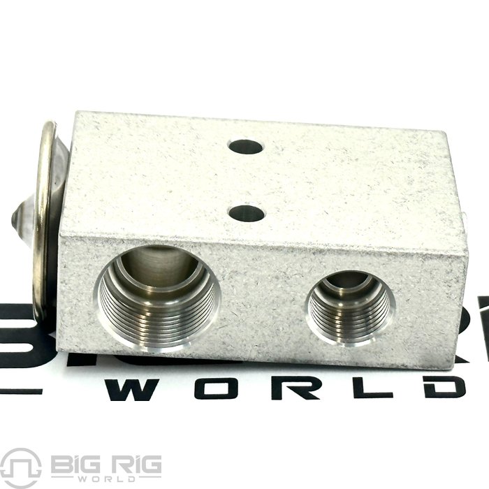 Expansion-Valve SR2000016 - OEM - Bergstrom - Big Rig World